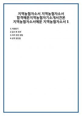 지역농협자소서 합격예문지역농협자기소개서견본 지역농협자소서예문 지역농협자소서1-1페이지