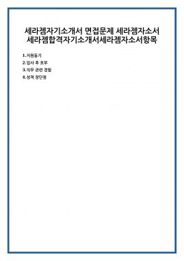 세라젬자기소개서 면접문제 세라젬자소서 세라젬합격자기소개서세라젬자소서항목-1페이지
