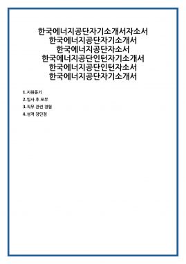 한국에너지공단자기소개서자소서 한국에너지공단자기소개서 한국에너지공단자소서 한국에너지공단인턴자기소개서 한국에너지공단인턴자소서-1페이지