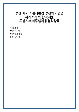루셈 자기소개서면접 루셈해외영업 자기소개서 합격예문 루셈자소서루셈채용첨삭항목-1페이지