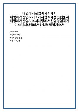 대명레저산업자기소개서 대명레저산업자기소개서합격예문면접문제대명레저산업자소서대명레저산업영업직자기소개서대명레저산업영업직자소서-1페이지