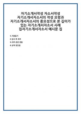 자기소개서작성 자소서작성 자기소개서자소서의 작성 요령과 중요성으로 본 깊이가 있는 자기소개서자소서 사례 집자기소개서자소서 예시문 집-1페이지