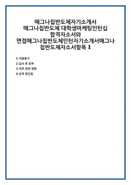 매그나칩반도체자기소개서 매그나칩반도체 대학생마케팅인턴십 합격자소서와 면접매그나칩반도체인턴자기소개서매그나칩반도체자소서항목1-1페이지