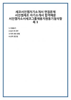 세코서진캠자기소개서 면접문제 서진캠제조 자기소개서 합격예문 서진캠자소서세코그룹채용지원동기첨삭항목1-1페이지