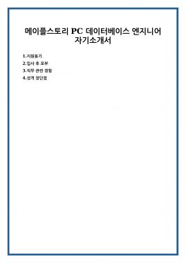 메이플스토리 PC 데이터베이스 엔지니어 자기소개서-1페이지