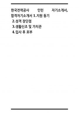 한국전력공사 인턴 자기소개서, 합격자기소개서-1페이지
