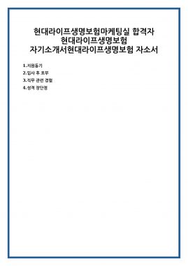 현대라이프생명보험마케팅실 합격자 현대라이프생명보험 자기소개서현대라이프생명보험 자소서-1페이지