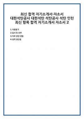 최신 합격 자기소개서·자소서 대한석탄공사 대한석탄 석탄공사 석탄 인턴 항목 자기소개서 자소서 2-1페이지