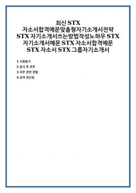 최신STX자소서합격예문맞춤형자기소개서전략STX자기소개서쓰는방법작성노하우STX자기소개서예문STX자소서합격예문STX자소서STX그룹자기소개서-1페이지