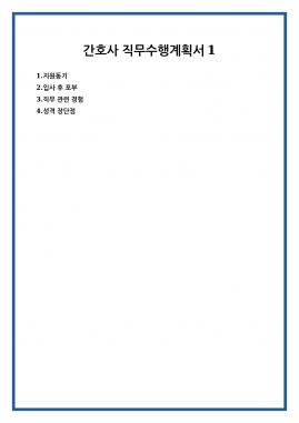간호사 직무수행계획서1-1페이지