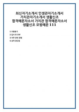최신자기소개서 인생관자기소개서 가치관자기소개서 생활신조 합격예문자소서 가치관 모범예문111-1페이지