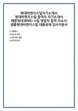 현대비앤지스틸자기소개서 현대비앤지스틸 합격자 자기소개서 예문현대BNG스틸 영업직 합격 자소서 샘플현대비엔지스틸 대졸공채 입사지원서-1페이지