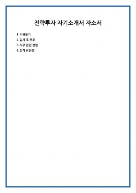 전략투자 자기소개서 자소서-1페이지