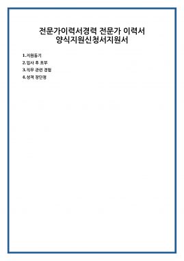 전문가이력서경력 전문가 이력서 양식지원신청서지원서-1페이지
