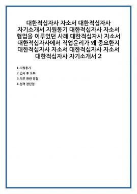 대한적십자사 자소서 자기소개서 지원동기 협업을 이루었던 사례 대한적십자사에서 직업윤리가 왜 중요한지 2-1페이지
