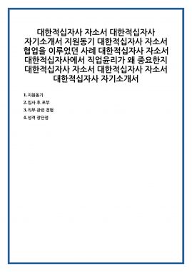 대한적십자사 자소서 자기소개서 지원동기 협업을 이루었던 사례 대한적십자사에서 직업윤리가 왜 중요한지-1페이지