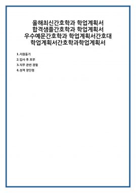 올해최신간호학과 학업계획서 합격샘플간호학과 우수예문간호학과 학업계획서간호대 학업계획서간호학과학업계획서-1페이지