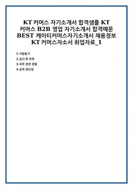 KT커머스 자기소개서 합격샘플 B2B 영업 합격예문 BEST 케이티커머스자기소개서 채용정보KT커머스자소서 취업자료_1-1페이지