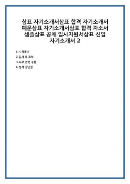 삼표 자기소개서삼표 합격 자기소개서 예문삼표 자소서 샘플삼표 공채 입사지원서삼표 신입 2-1페이지