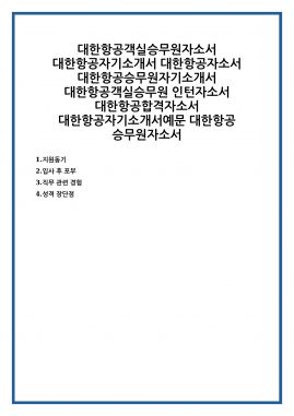 대한항공객실승무원자소서 대한항공자기소개서 대한항공자소서 대한항공승무원자기소개서 대한항공객실승무원 인턴자소서 대한항공합격자소서 대한항공자기소개서예문 대한항공 승무원자소서-1페이지