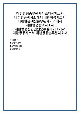 대한항공승무원자기소개서자소서 대한항공자기소개서 대한항공자소서 대한항공객실승무원자기소개서 대한항공합격자소서 대한항공신입인턴승무원자기소개서 대한항공승무원자소서-1페이지