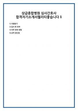 상급종합병원 심사간호사 합격자기소개서퀄리티좋습니다1-1페이지