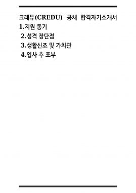 크레듀(CREDU) 공채 합격자기소개서-1페이지