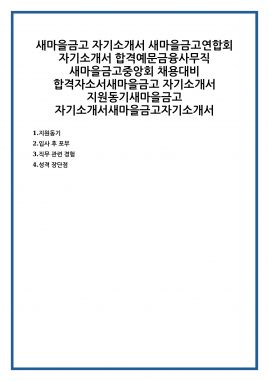 새마을금고 자기소개서 새마을금고연합회 합격예문금융사무직 새마을금고중앙회 채용대비 합격자소서새마을금고 지원동기새마을금고 자기소개서새마을금고자기소개서-1페이지