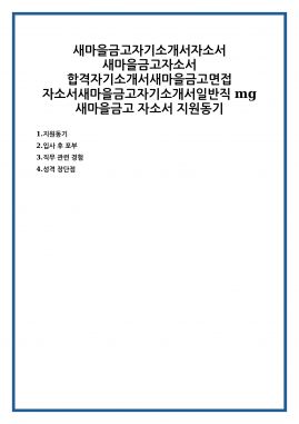 새마을금고자기소개서자소서 새마을금고자소서 합격자기소개서새마을금고면접 자소서새마을금고자기소개서일반직 mg새마을금고 자소서 지원동기-1페이지