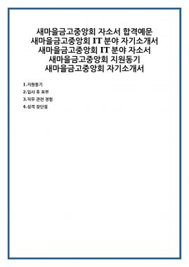 새마을금고중앙회 자소서 합격예문 IT분야 자기소개서 지원동기-1페이지
