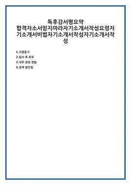독후감서평요약 합격자소서믿지마라자기소개서작성요령자기소개서비법자기소개서작성자기소개서작성-1페이지