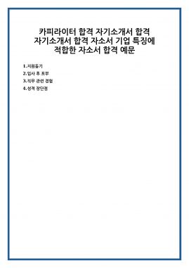 카피라이터 합격 자기소개서 자소서 기업 특징에 적합한 예문-1페이지