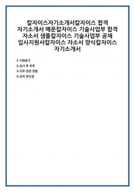 칼자이스자기소개서칼자이스 합격 자기소개서 예문칼자이스 기술사업부 자소서 샘플칼자이스 공채 입사지원서칼자이스 양식칼자이스-1페이지