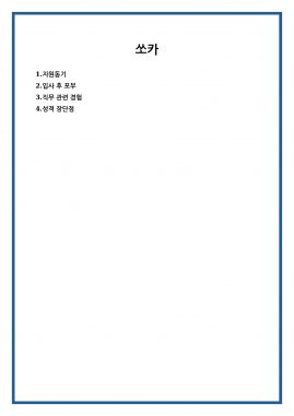 쏘카 레포트 자료-1페이지