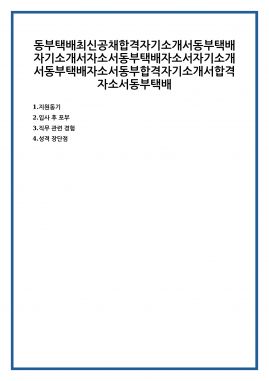 동부택배최신공채합격자기소개서동부택배자기소개서자소서동부택배자소서자기소개서동부택배자소서동부합격자기소개서합격자소서동부택배-1페이지
