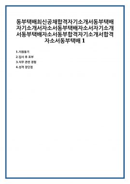 동부택배최신공채합격자기소개서동부택배자기소개서자소서동부택배자소서자기소개서동부택배자소서동부합격자기소개서합격자소서동부택배1-1페이지