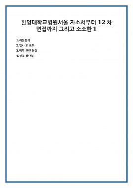 한양대학교병원서울 자소서부터 12차 면접까지 그리고 소소한1-1페이지