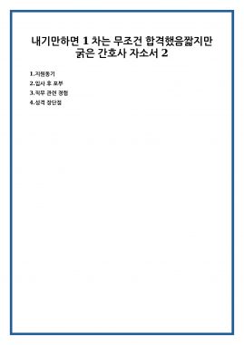 내기만하면 1차는 무조건 합격했음짧지만 굵은 간호사 자소서 2-1페이지