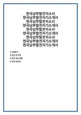 한국남부발전자소서 한국남부발전자기소개서-1페이지