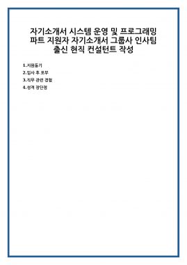 자기소개서 시스템 운영 및 프로그래밍 파트 지원자 그룹사 인사팀 출신 현직 컨설턴트 작성-1페이지