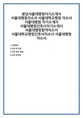 분당서울대병원자기소개서 서울대병원자소서 서울대학교병원 자소서 서울대병원 자기소개서 서울대병원간호사자기소개서 서울대병원합격자소서 서울대학교병원간호사자소서-1페이지