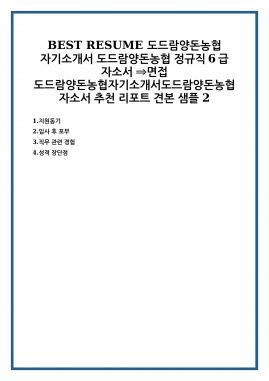 BEST RESUME 도드람양돈농협 자기소개서 정규직6급 자소서 ⇒면접 도드람양돈농협자기소개서도드람양돈농협자소서 추천 리포트 견본 샘플 2-1페이지