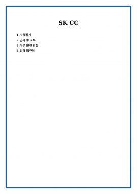 SK CC 레포트 자료-1페이지