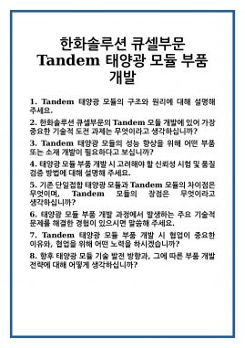 [면접] 한화솔루션 큐셀부문 Tandem 태양광 모듈 부품 개발 면접 질문 및 답변 합격 예문 기출 문항 최종 준비 자료-1페이지