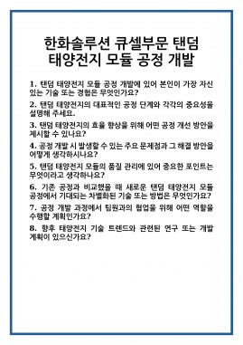 [면접] 한화솔루션 큐셀부문 탠덤 태양전지 모듈 공정 개발 면접 질문 및 답변 합격 예문 기출 문항 최종 준비 자료-1페이지