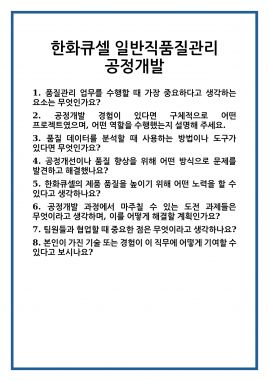 [면접] 한화큐셀 일반직품질관리 공정개발 면접 질문 및 답변 합격 예문 기출 문항 최종 준비 자료-1페이지