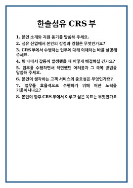 [면접] 한솔섬유 CRS부 면접 질문 및 답변 합격 예문 기출 문항 최종 준비 자료-1페이지