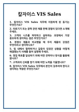 [면접] 칼자이스 VIS Sales 면접 질문 및 답변 합격 예문 기출 문항 최종 준비 자료-1페이지