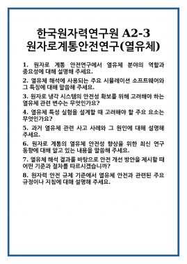 [면접] 한국원자력연구원 A2-3 원자로계통안전연구(열유체) 면접 질문 및 답변 합격 예문 기출 문항 최종 준비 자료-1페이지