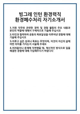 [자기소개서] 빙그레 인턴 환경력직 환경폐수처리 자기소개서 합격 자소서 예문 기출 문항 최종 준비 자료-1페이지